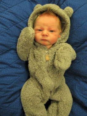 Beau Anthony | News, Sports, Jobs - Daily Press